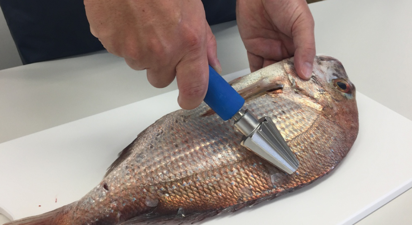 Electric Salmon Scaler AST-150 | Asahi Industry Co., Ltd.